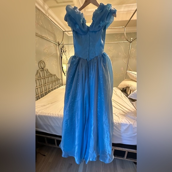 Costumes | Custom Cinderella Gown Costume With 3d Butterfly Details On ...